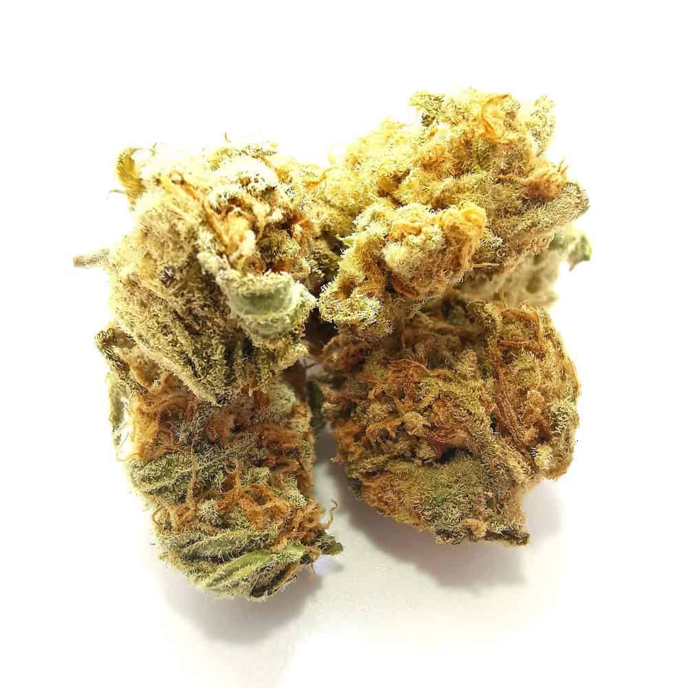 Wappa Strain Review (Namaste) | Cannabis Sensei