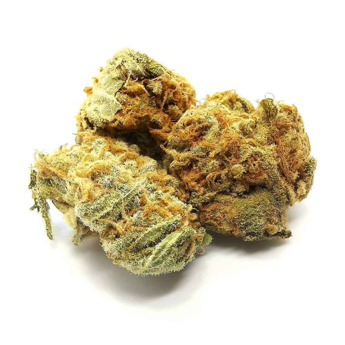 Wappa Strain Review (Namaste) | Cannabis Sensei