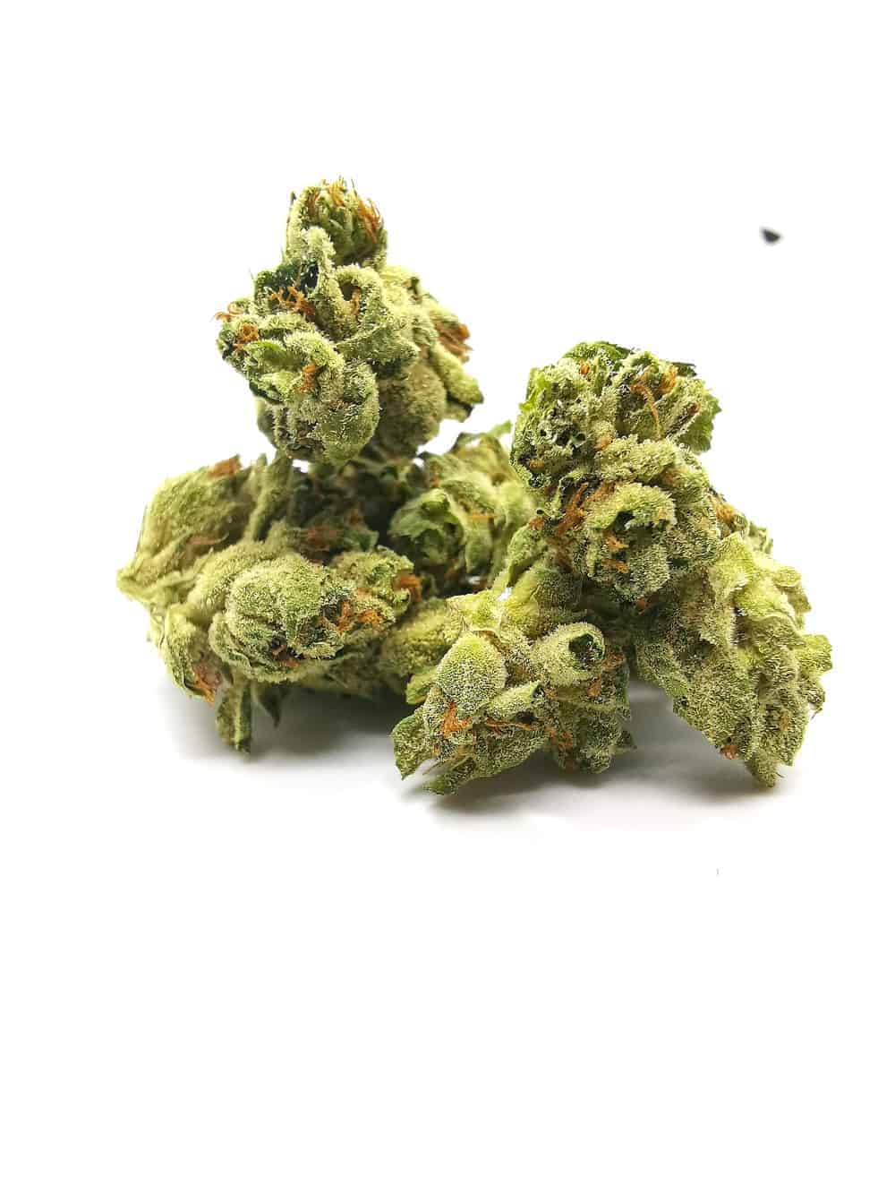 Alien Dawg Strain Review (Dubon) | Cannabis Sensei