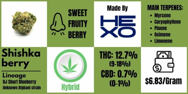 Shishkaberry Strain Review (Hexo) | Cannabis Sensei