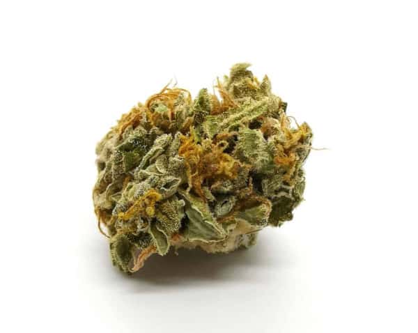 Sensi Star Strain Review (Namaste) | Cannabis Sensei