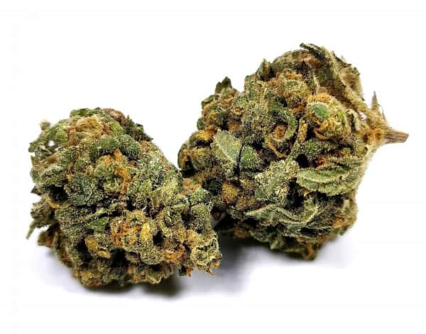 Cannabis Sensei: Your Cultivation & Consumption Headquarters