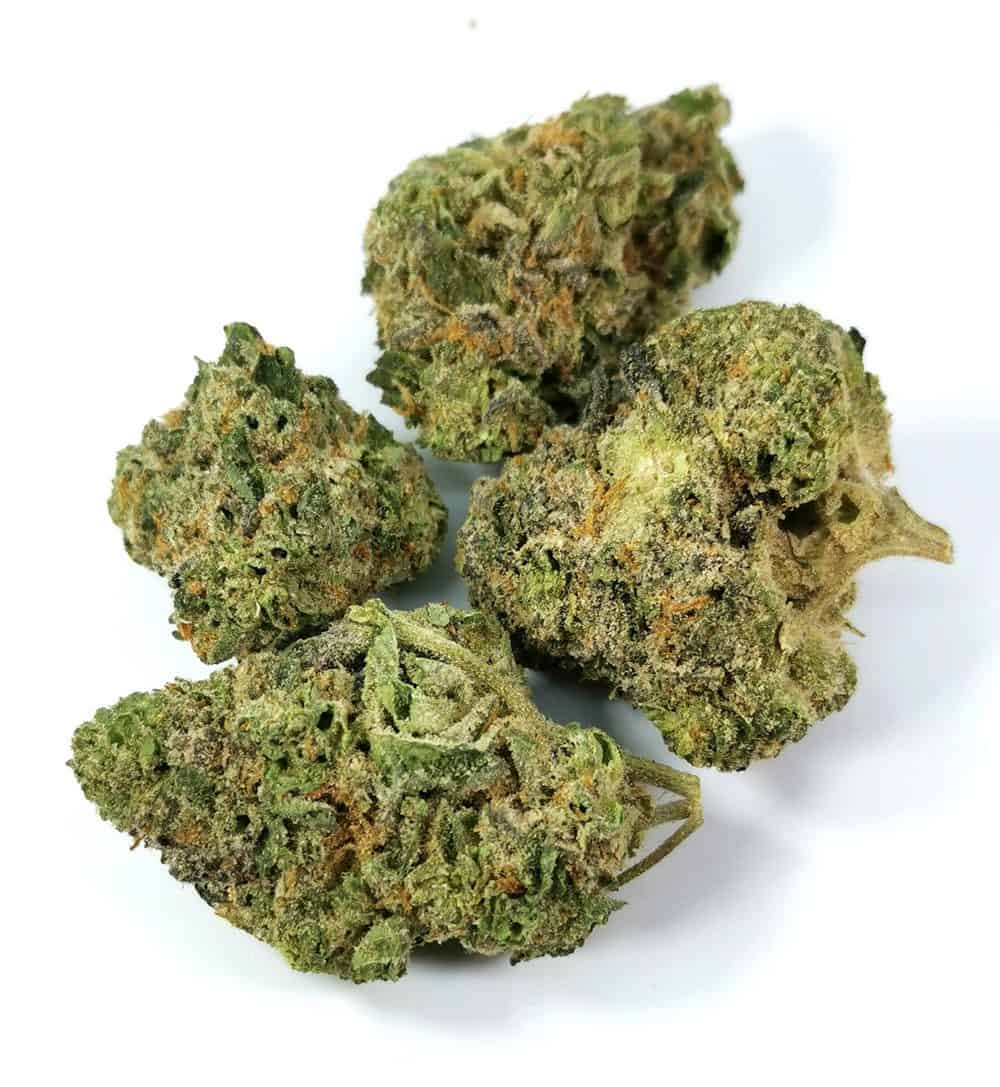 Ice Cream Cake Strain Review (7ACRES) | Cannabis Sensei