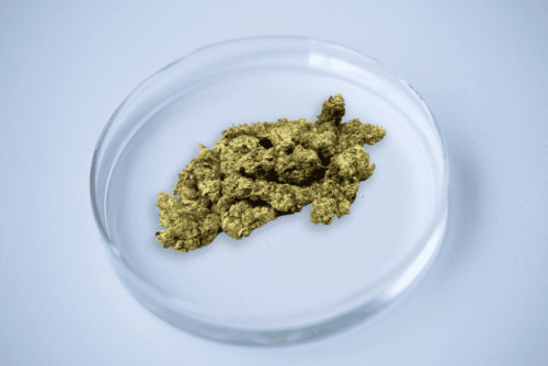 Stuffed French Toast Strain Review (Qwest) | Cannabis Sensei