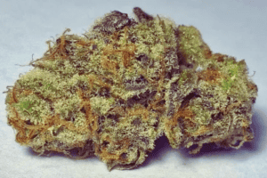Caramel Apple Gelato Strain Review (Nature’s Remedy - Jane) | Cannabis ...
