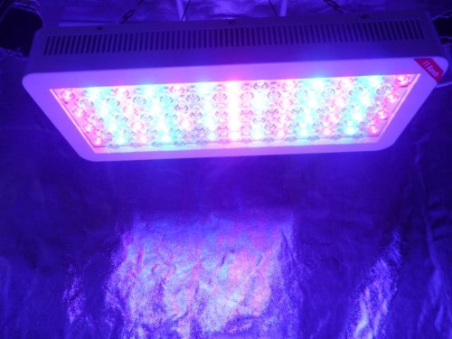 Advanced Platinum LED Grow Lights (Brand Overview) | Cannabis Sensei