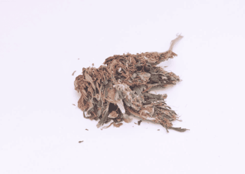 Reggie Weed: Unveiling the Dreadful Side of Cannabis | Cannabis Sensei