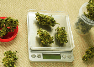 How Much is a Dub of Weed: Learn Its Weight and Cost | Cannabis Sensei