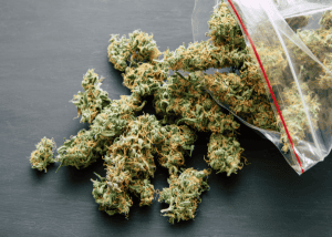 How Much is a Dub of Weed: Learn Its Weight and Cost | Cannabis Sensei