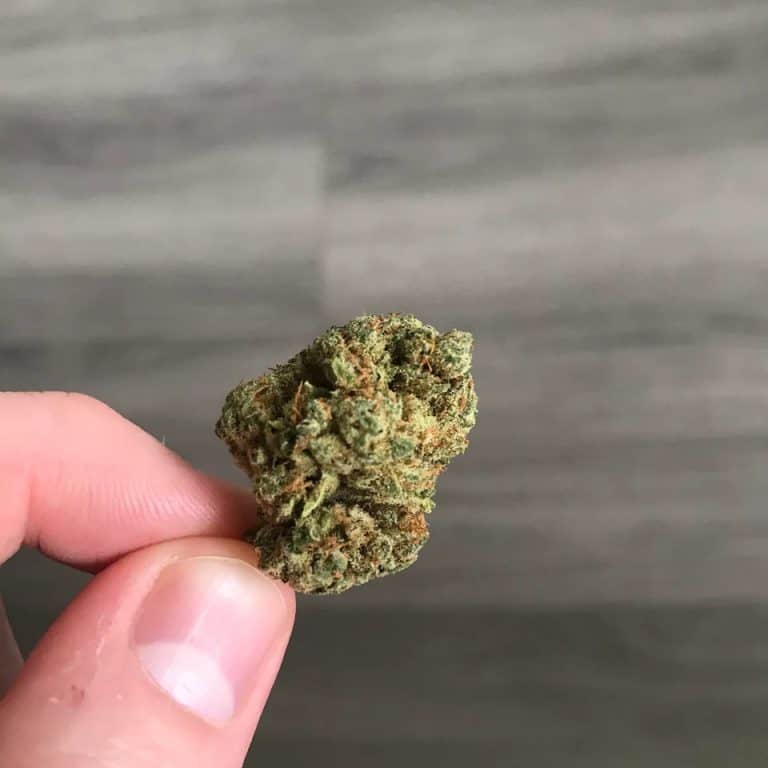 10 Best CBD Seeds for Reliable Relief (in 2026)