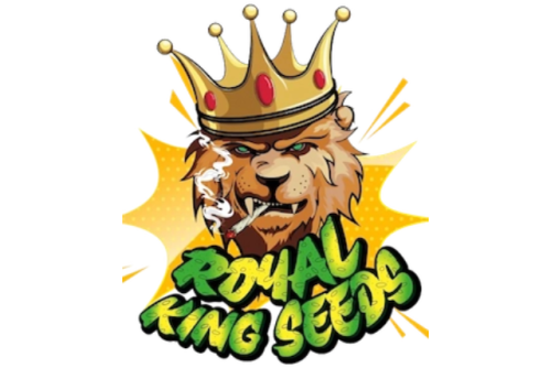 Royal King Seeds Review 2026: Are They Worthy of The Throne?