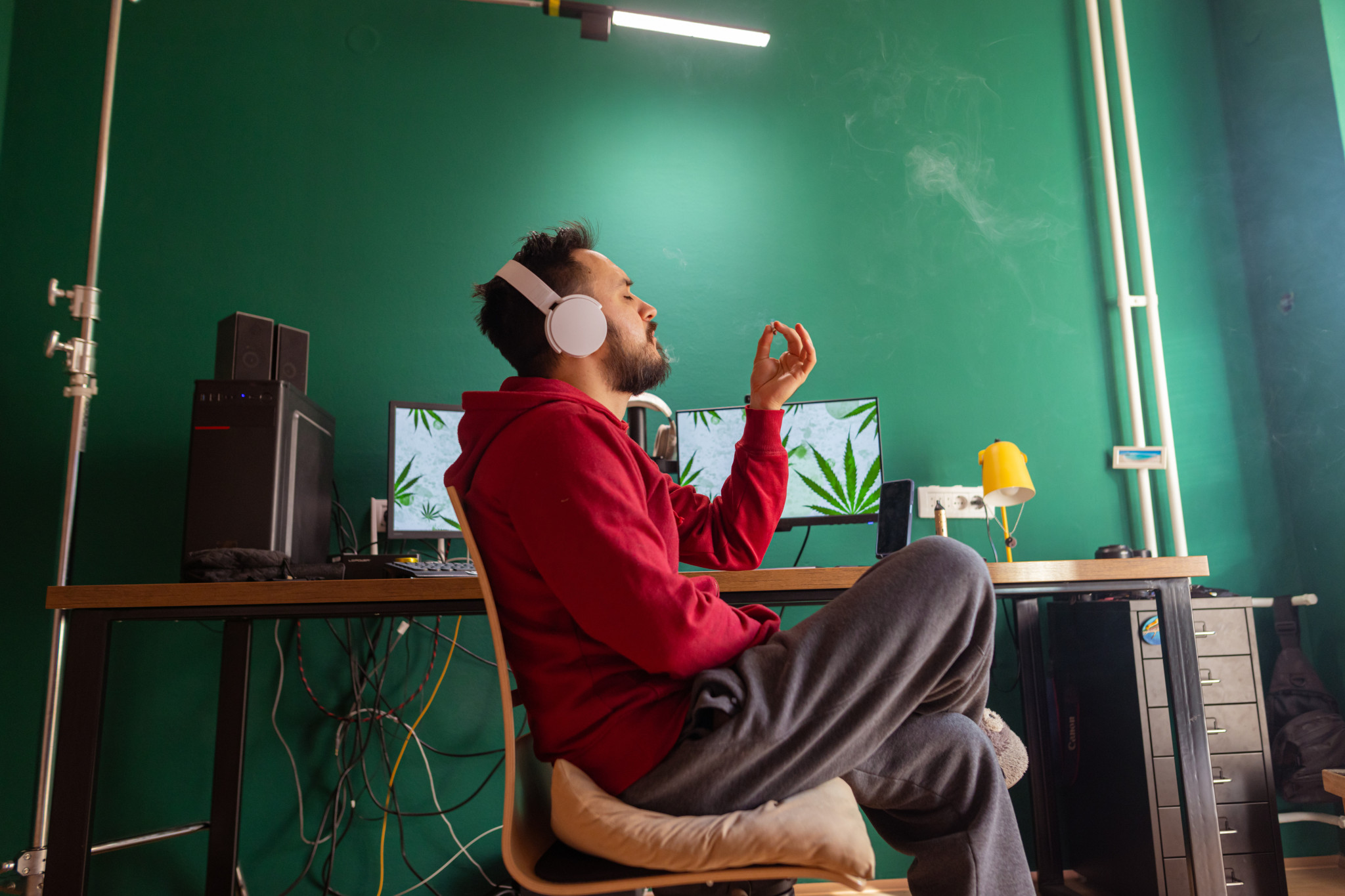 Does THC Percentage Matter: Understanding Its Impact on Your Experience ...