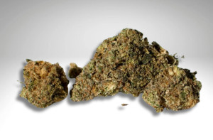 E85 Strain Review [Grandiflora Genetics] | Cannabis Sensei