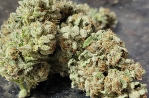 White Wedding Strain (Ethos Genetics) | Cannabis Sensei