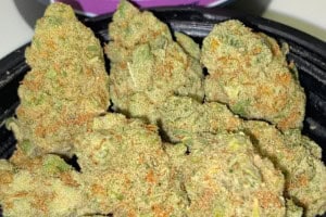 Strawberry Guava Cannabis Strain Review & Information | Cannabis Sensei