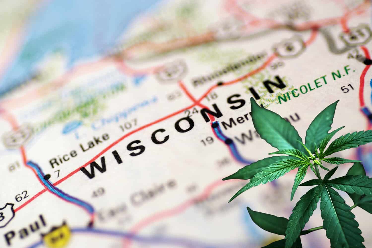 Where to Buy Marijuana Seeds for Sale in Wisconsin: Online Cannabis ...