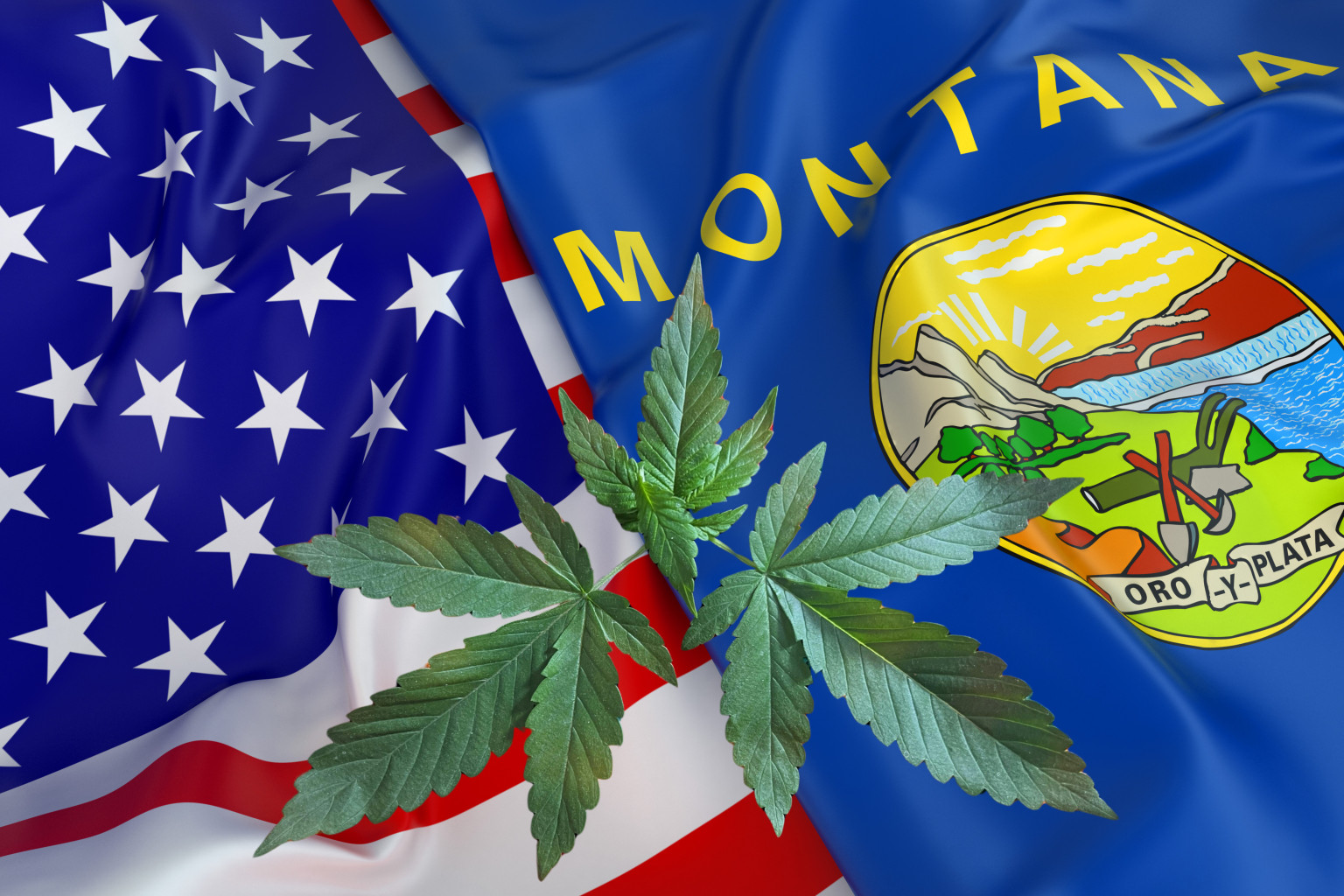 Where to Buy Marijuana Seeds in Montana: Online Seed Banks | Cannabis ...