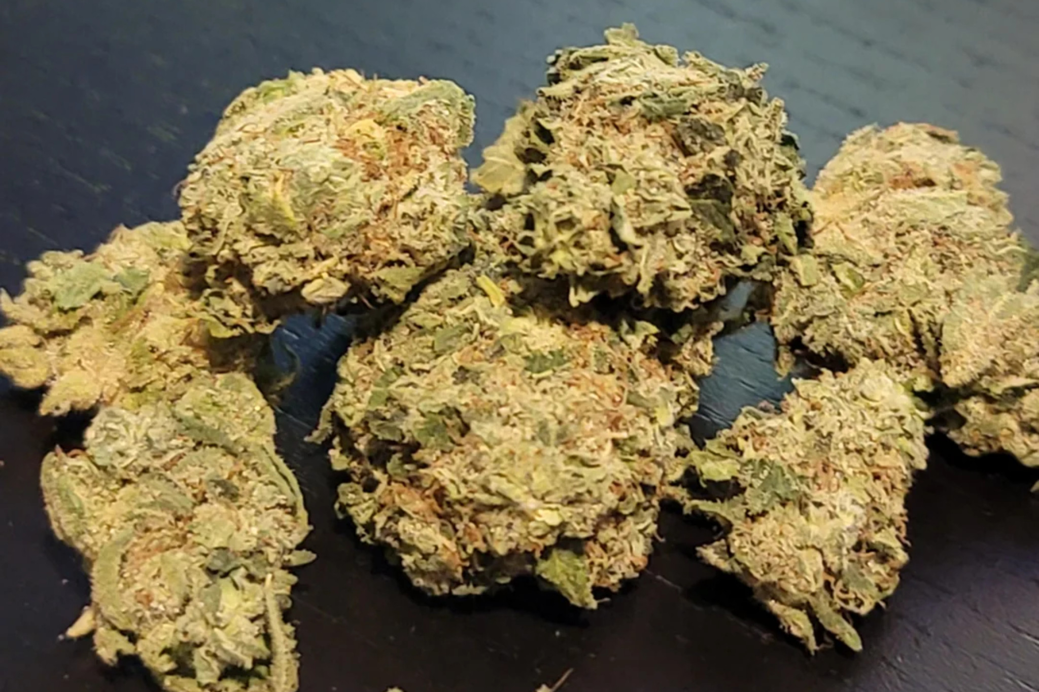 Bold Root Beer Float Strain Information & Review | Cannabis Sensei