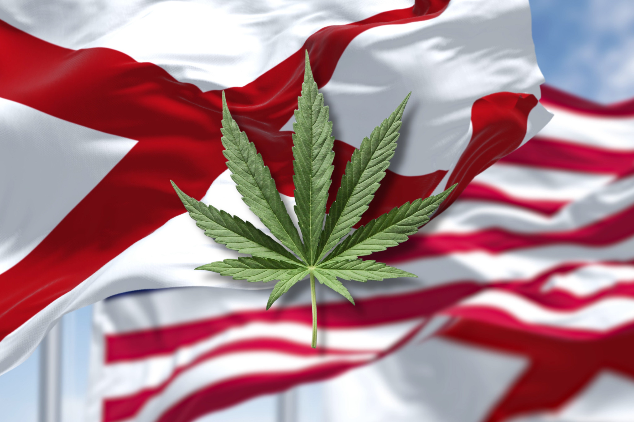 Where to Buy Marijuana Seeds in Alabama: Online Cannabis Seed Banks ...